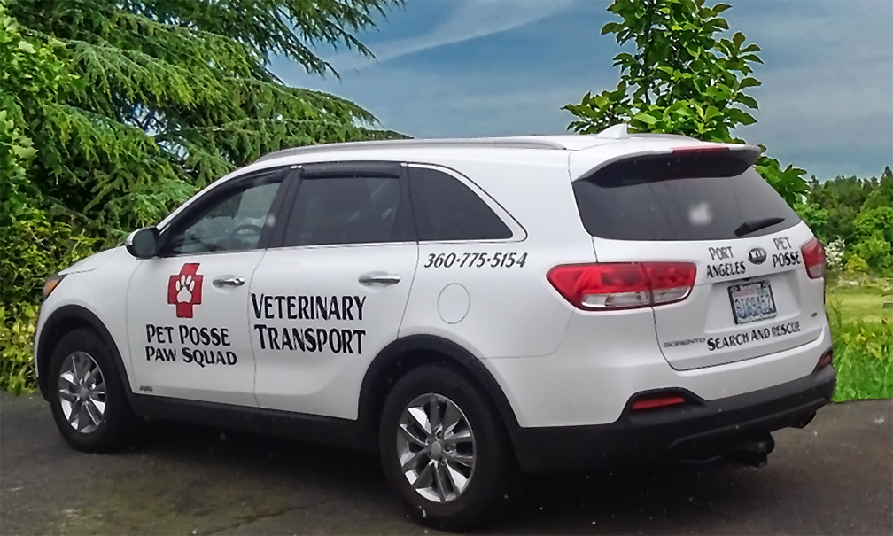 Veterinary Transport Service | Port Angeles Pet Posse Veterinary Transport Service | Port Angeles Pet Posse
